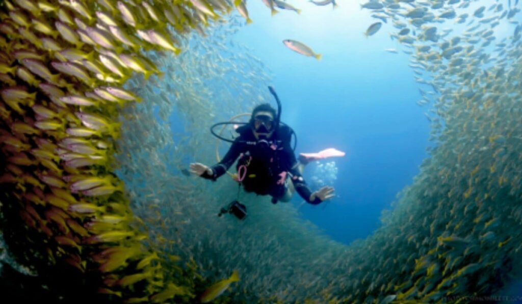Scuba Diving Morocco: Hidden Dive Sites